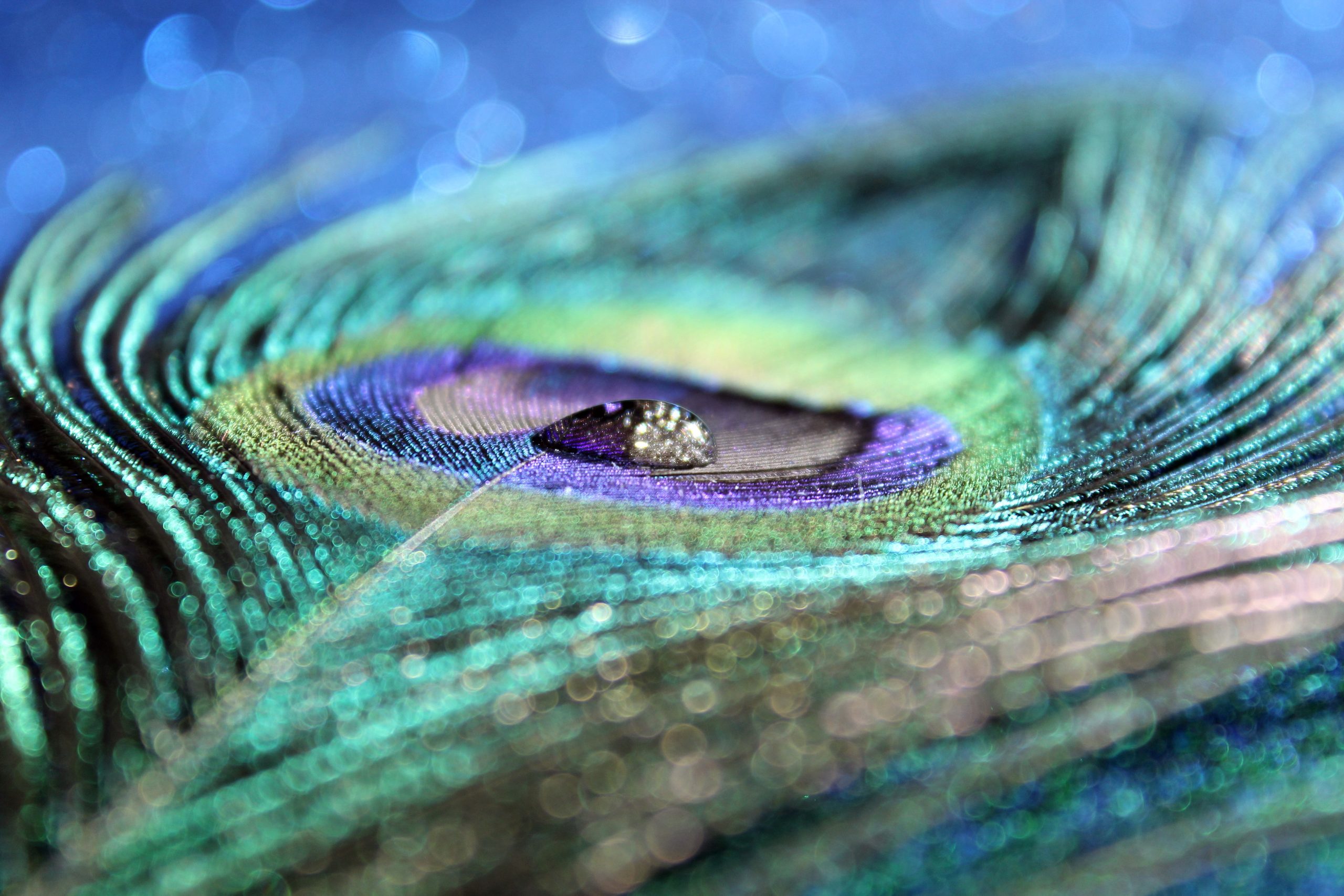 Book your call now - Powerful Voices